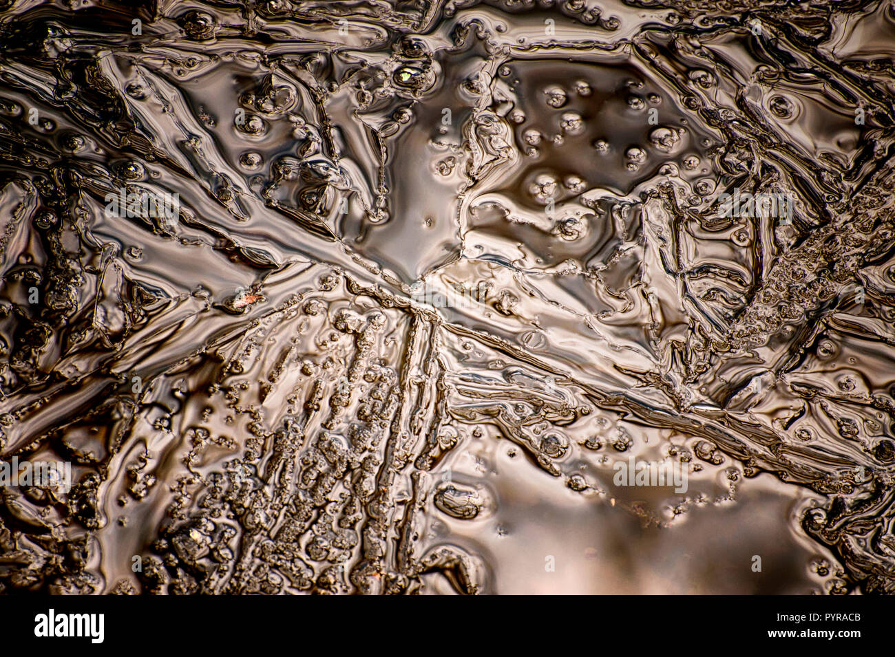 Thin layer of frozen water hi-res stock photography and images - Alamy