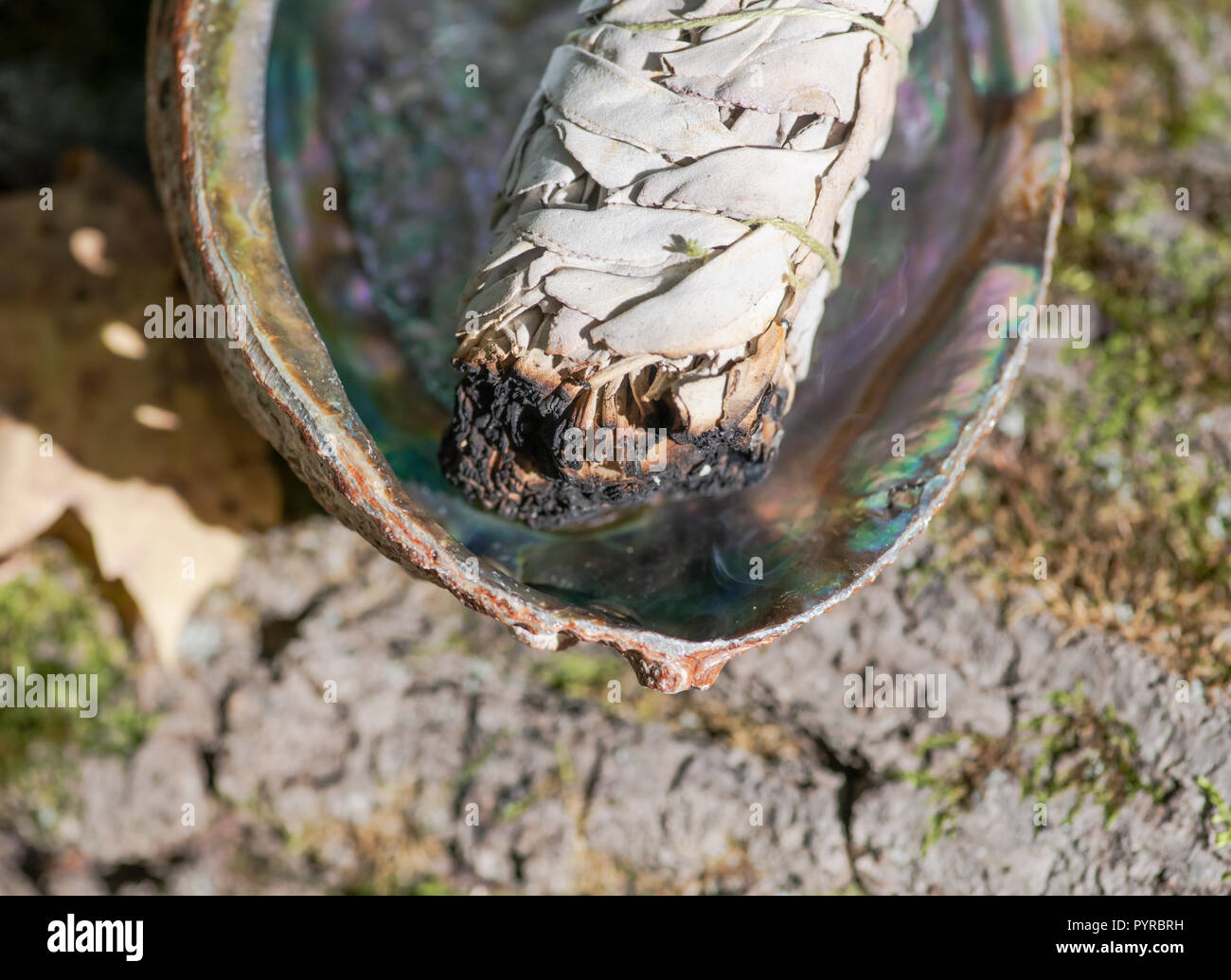 Smudging ritual using burning thick leafy bundle of white sage in ...