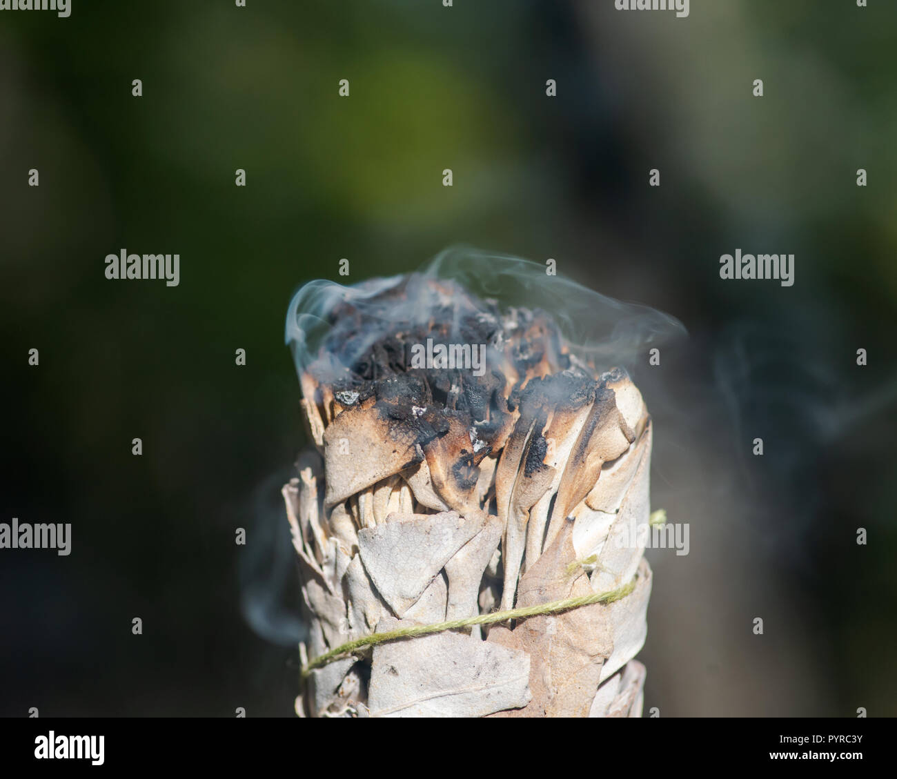 Sage smudging ceremony hi-res stock photography and images - Alamy