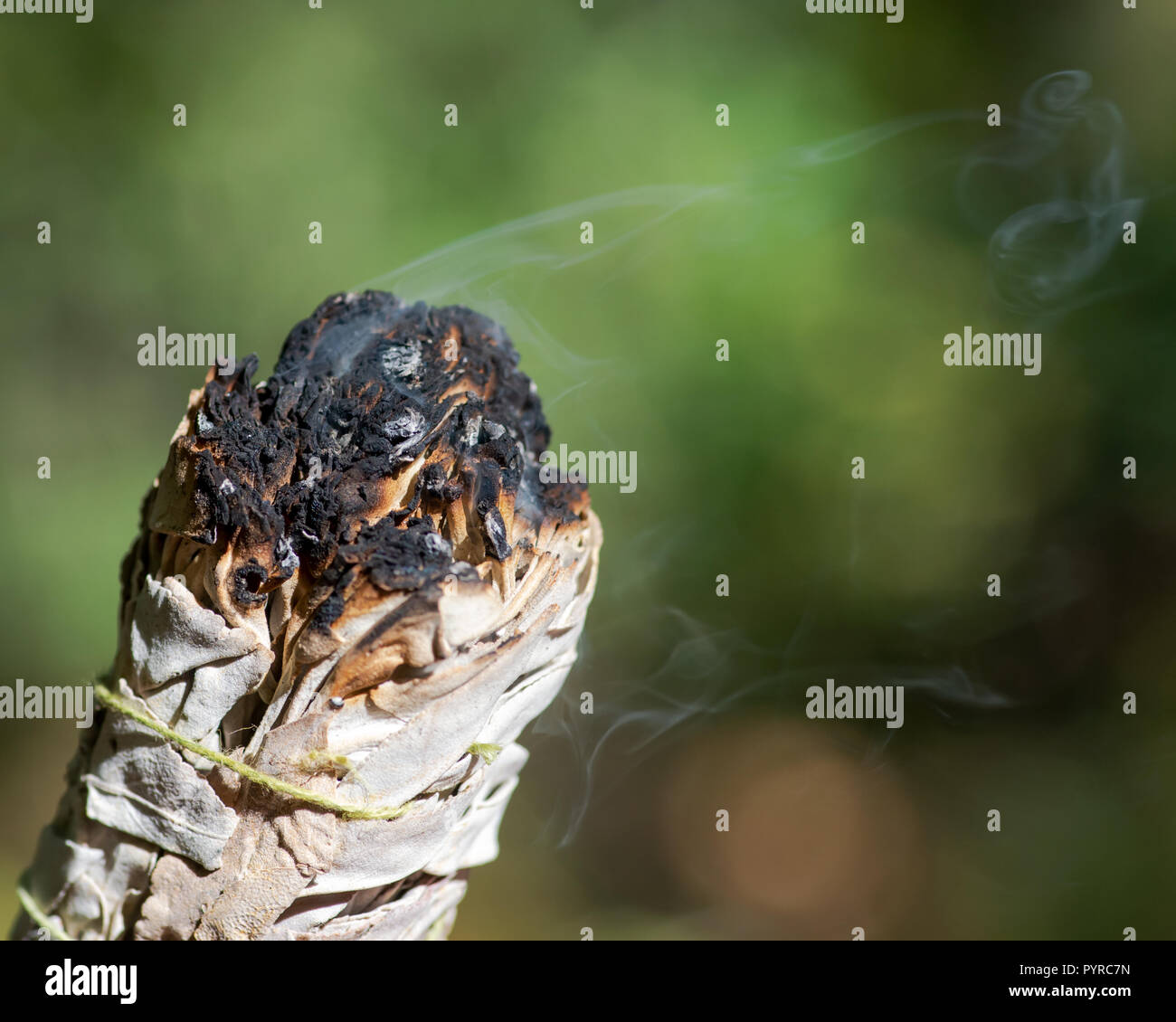 Smudging ritual using burning thick leafy bundle of white sage in ...