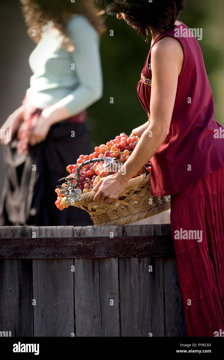 Mid-adult woman tipping a basket of fresh grapes into a wooden barrel ...