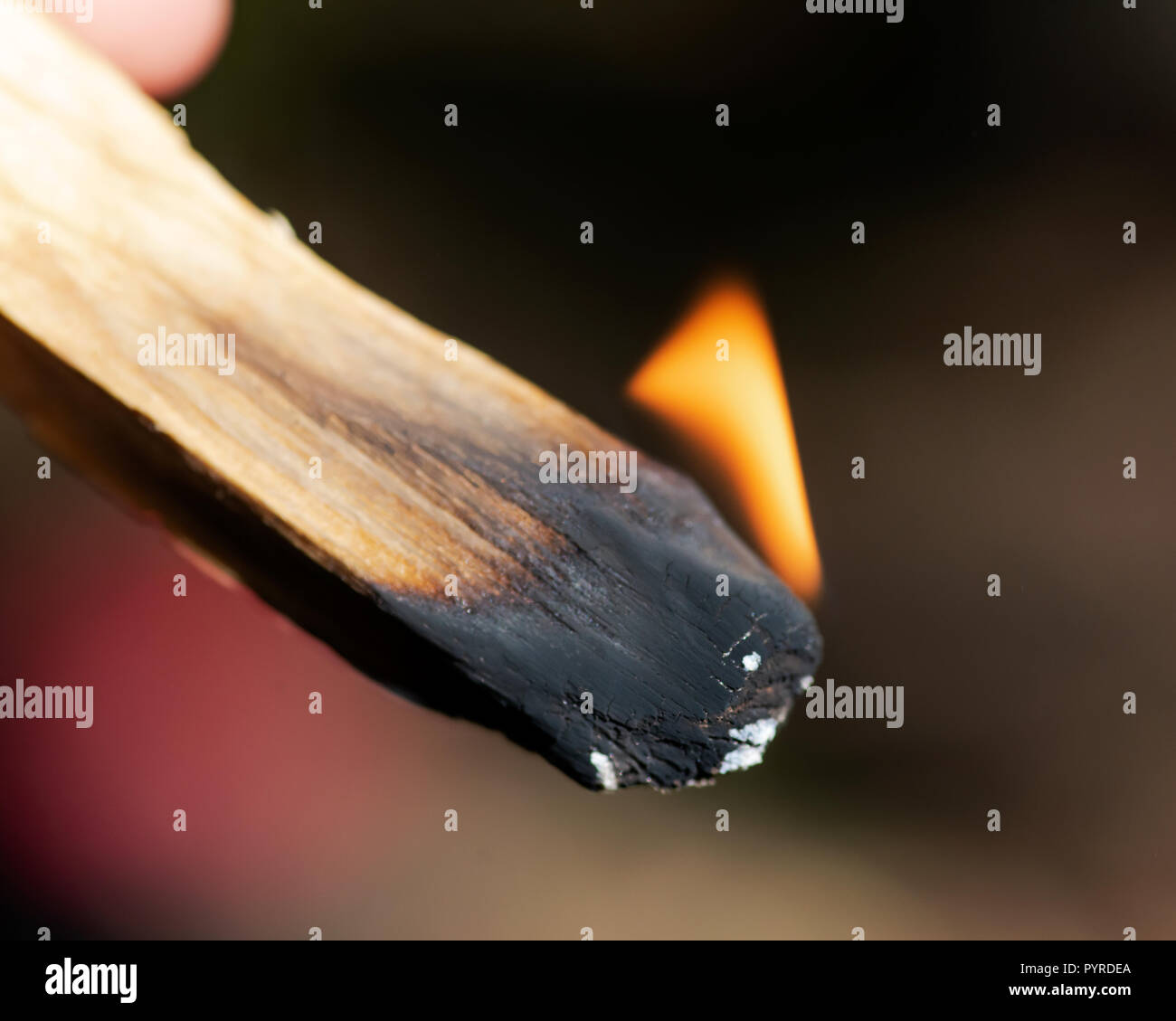 Palo santo tree peru hi-res stock photography and images - Alamy