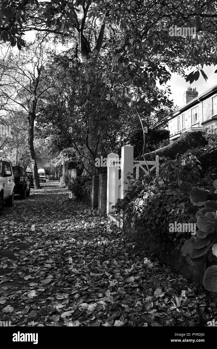 Hartburn village hi-res stock photography and images - Alamy