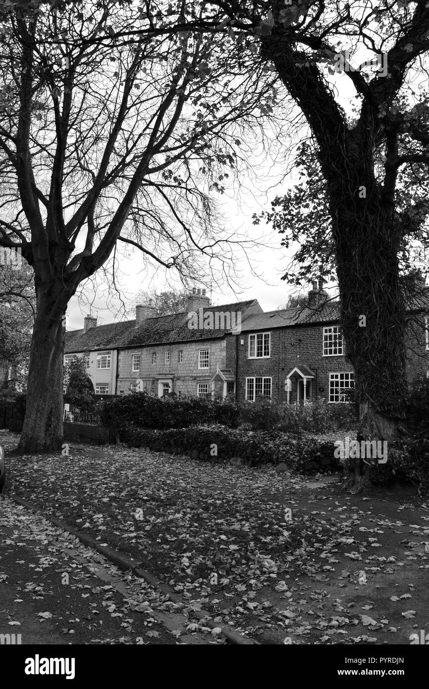 Black & White, Autumnal image of beautiful, historic Hartburn Village ...