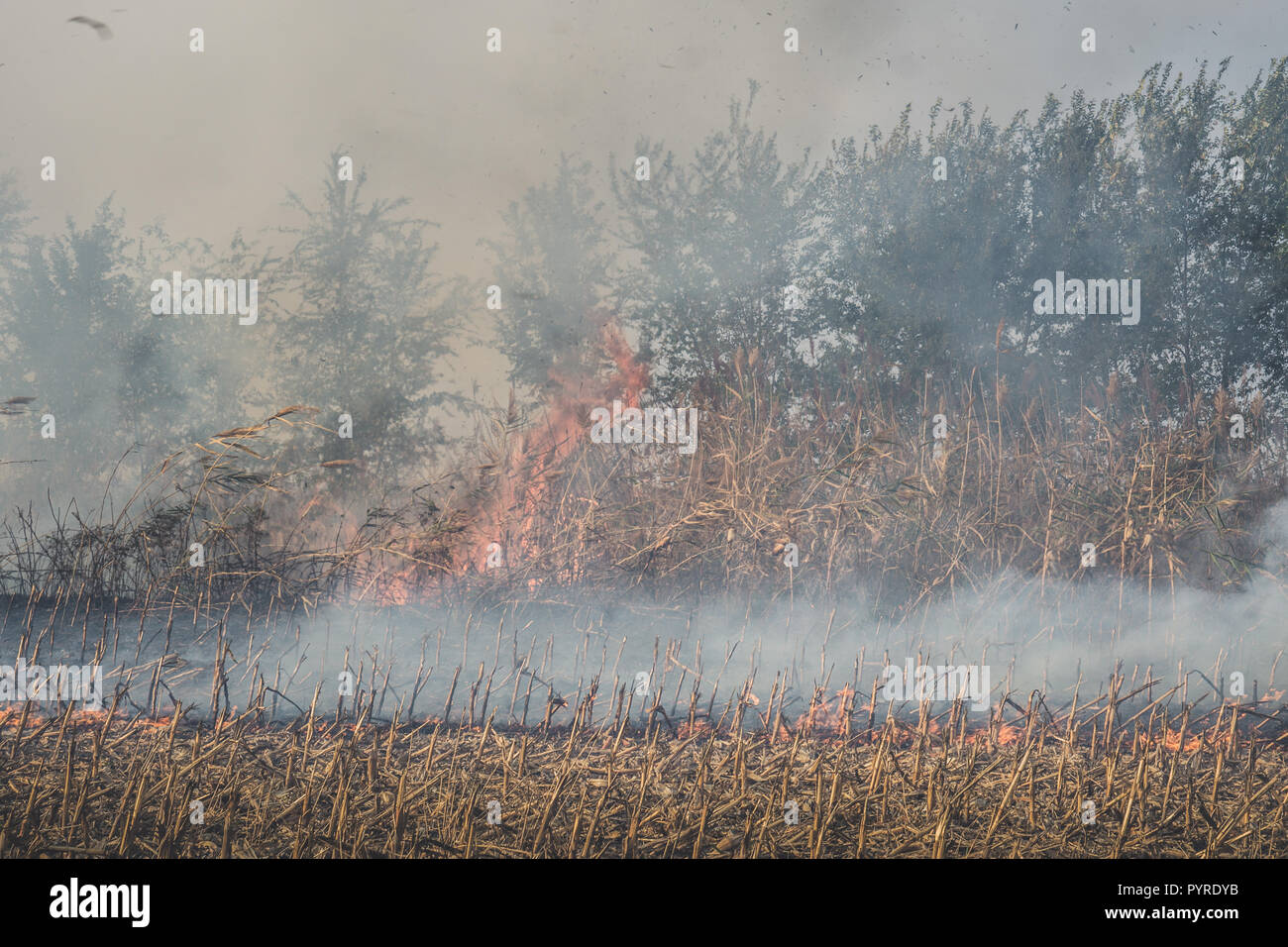 After fire accident plant hi-res stock photography and images - Alamy