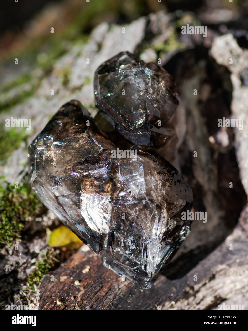 Transparent quartz in forest hi-res stock photography and images - Alamy