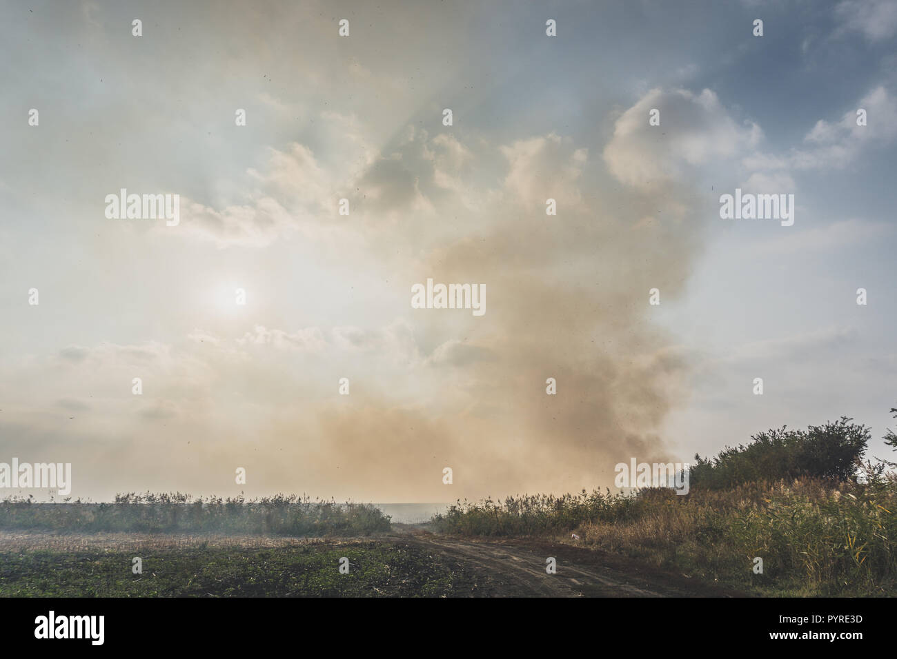 Huge cornfield hi-res stock photography and images - Alamy