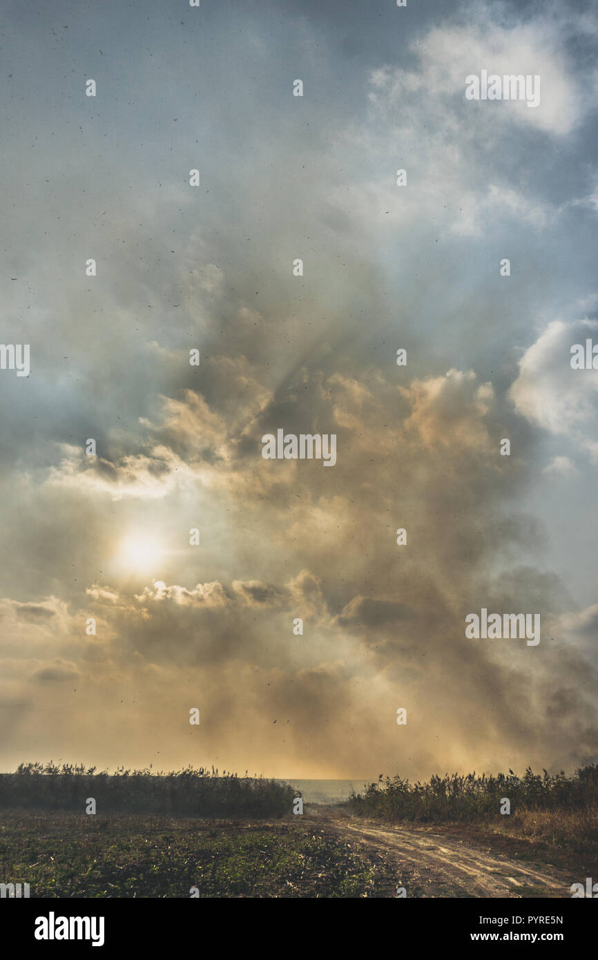 Huge cornfield hi-res stock photography and images - Alamy