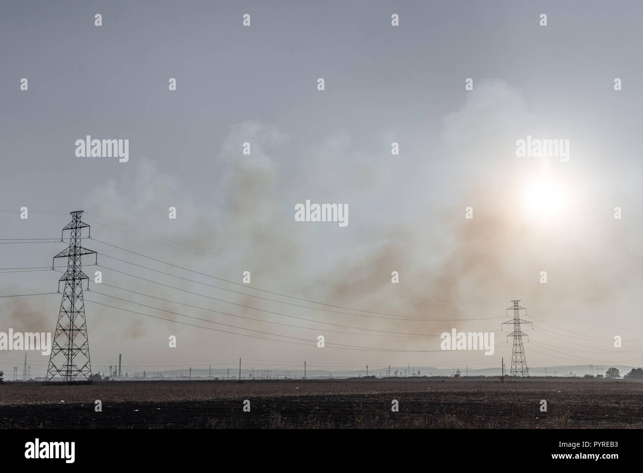 Smoke of burning corn field.Burning corn field after the harvest Stock ...