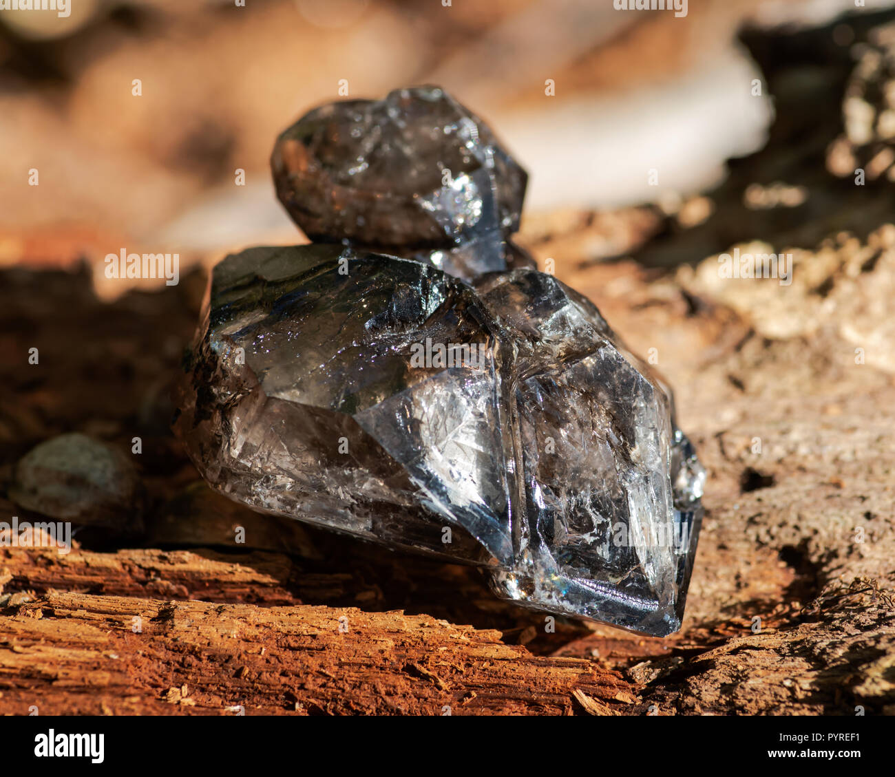 Transparent quartz in forest hi-res stock photography and images - Alamy