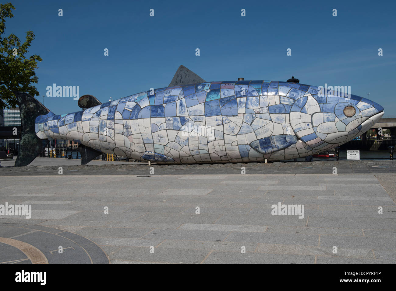 The salmon of knowledge the big fish hi-res stock photography and ...