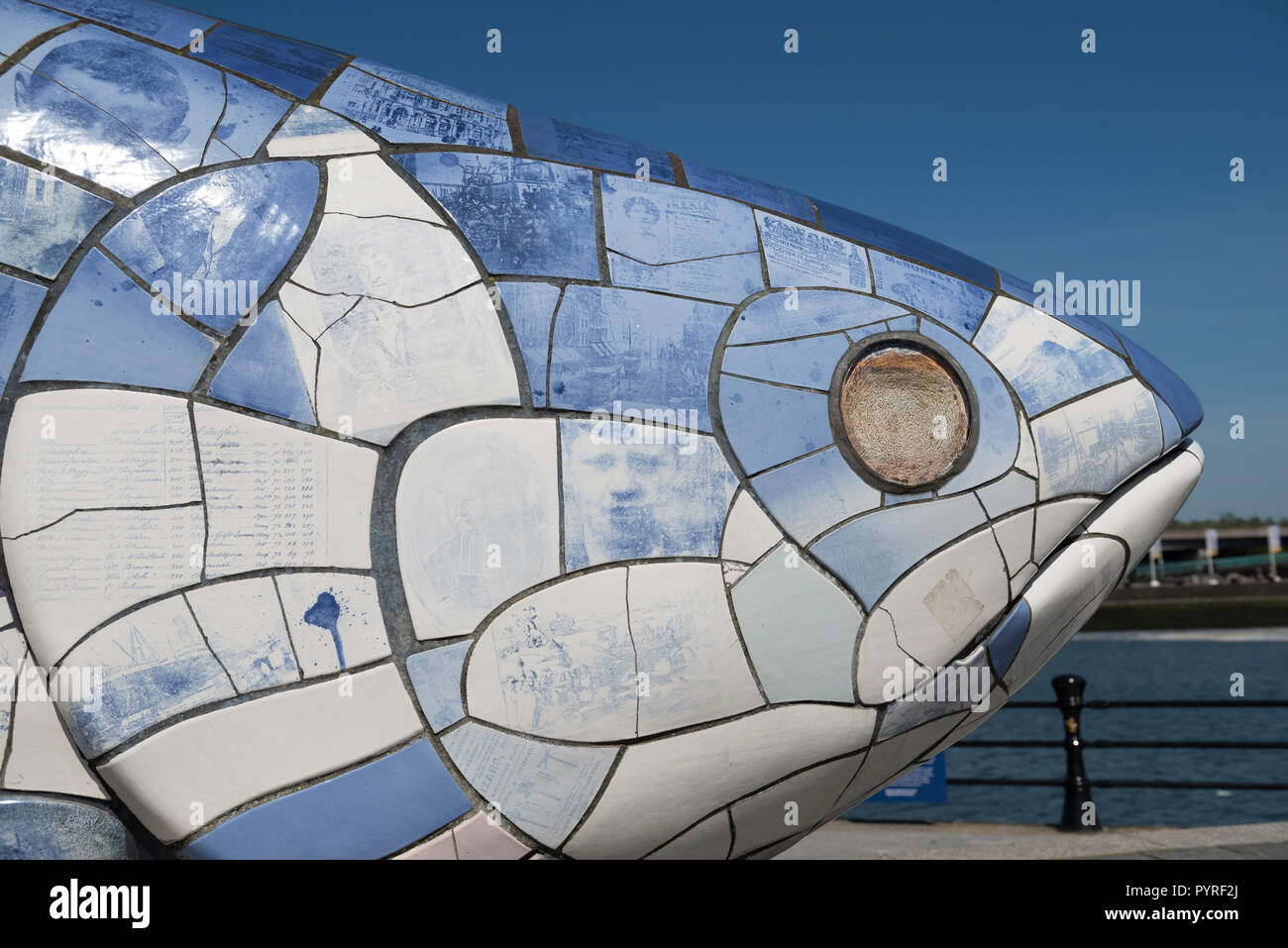 The salmon of knowledge the big fish hi-res stock photography and ...