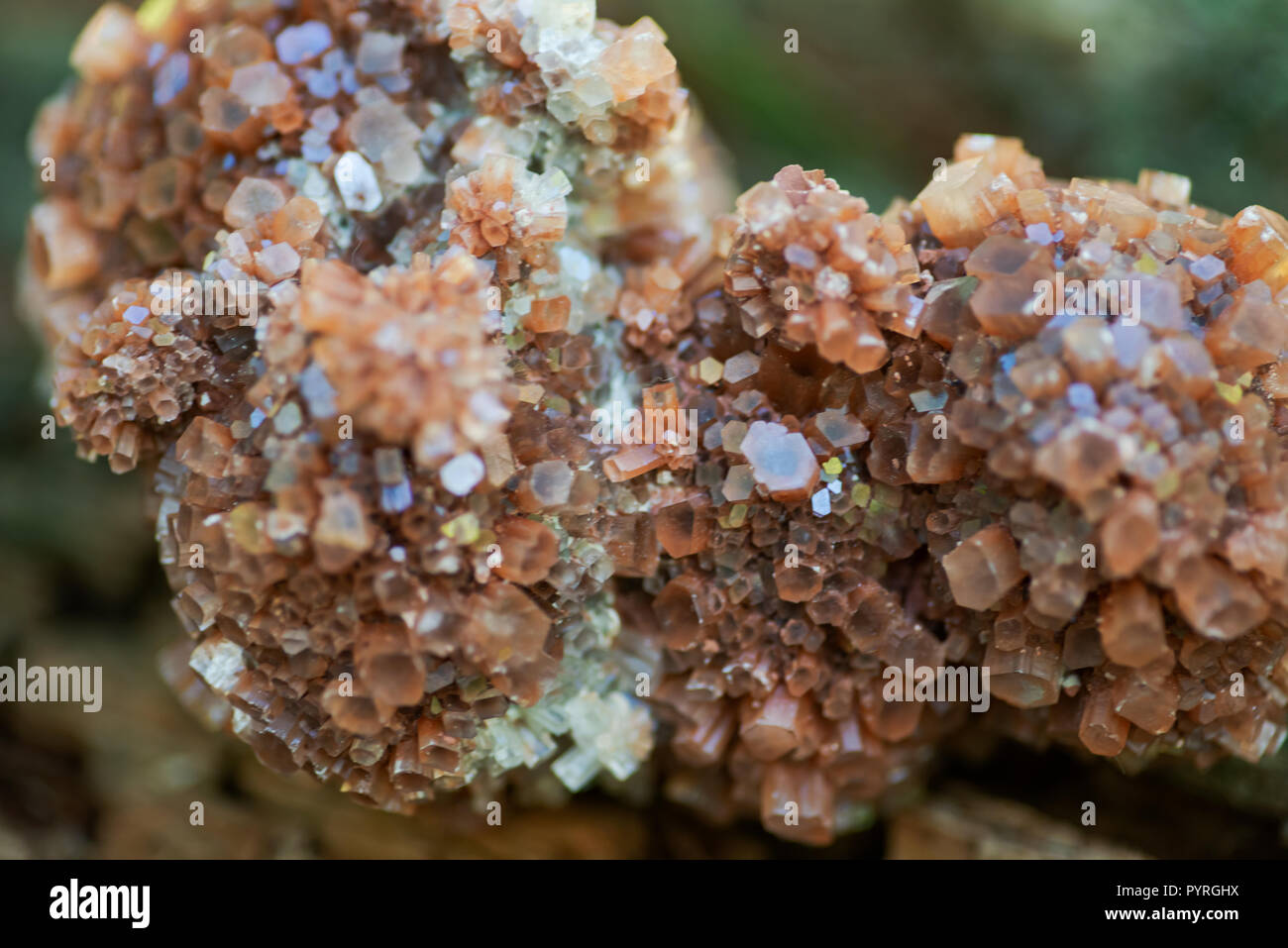 Aragonite star cluster from Morocco on fibrous tree bark in the forest ...