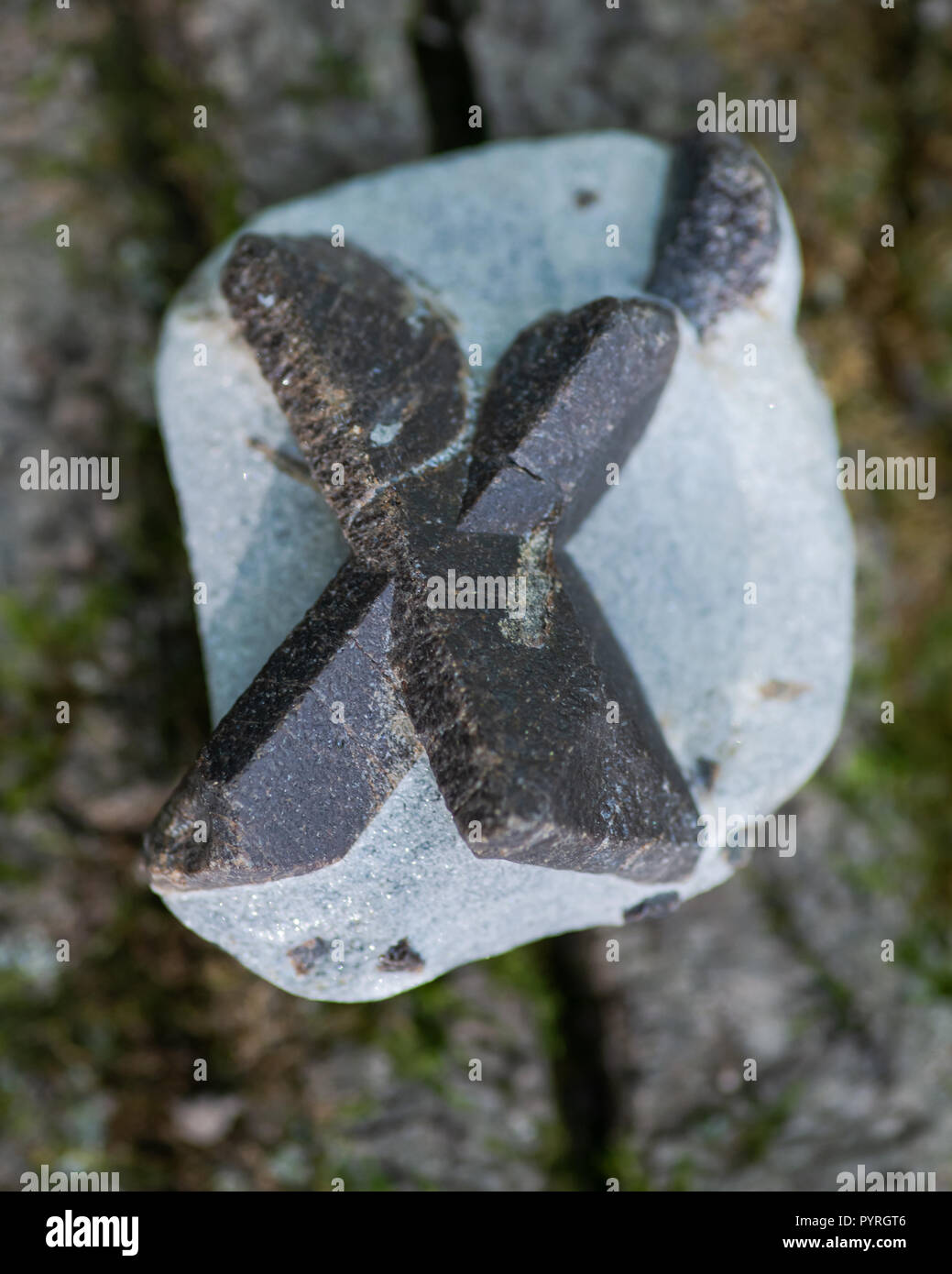 Staurolite - Fairy cross from Semiostrovye, Western Keivy, Kola ...