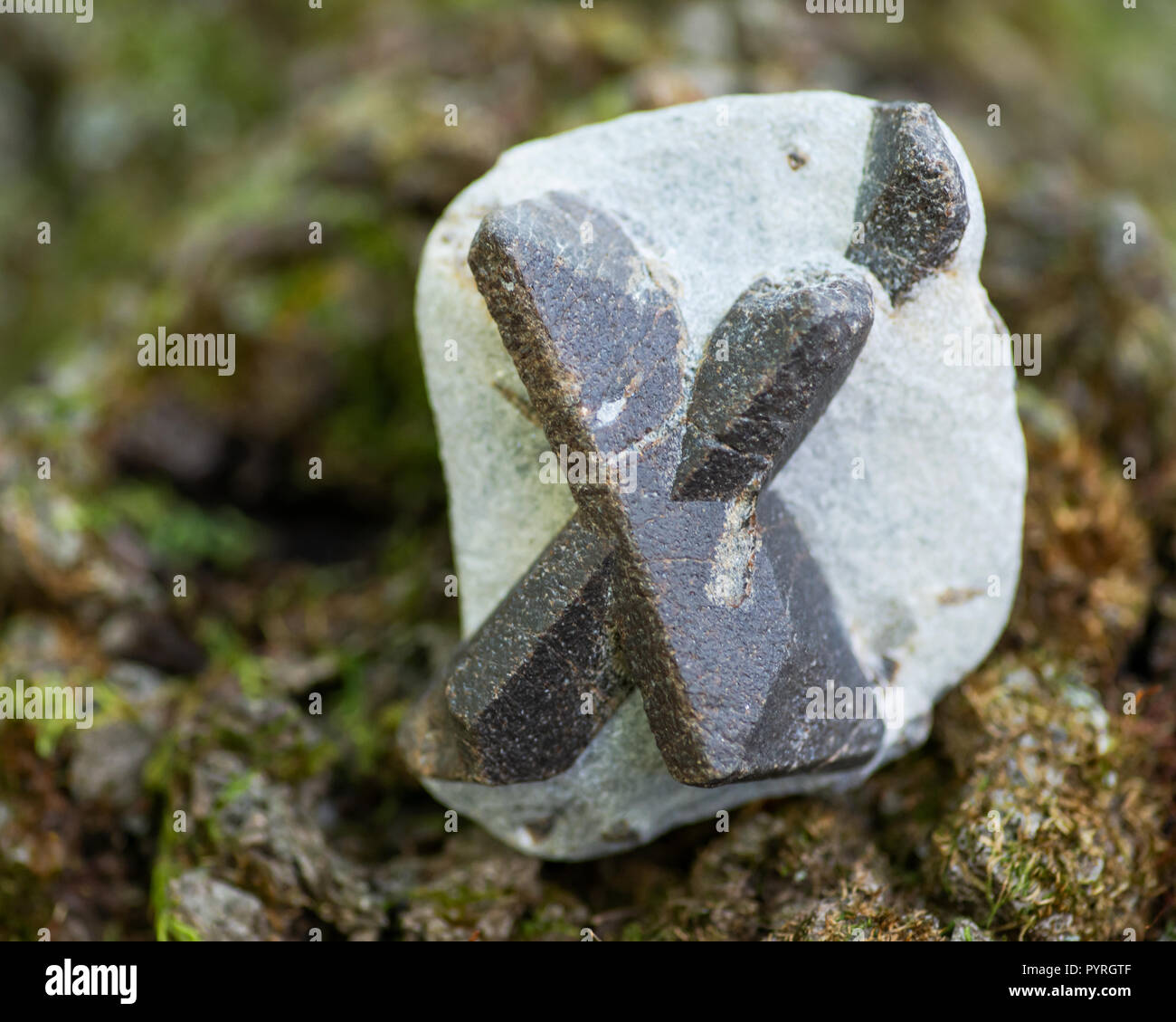 Staurolite - Fairy cross from Semiostrovye, Western Keivy, Kola ...