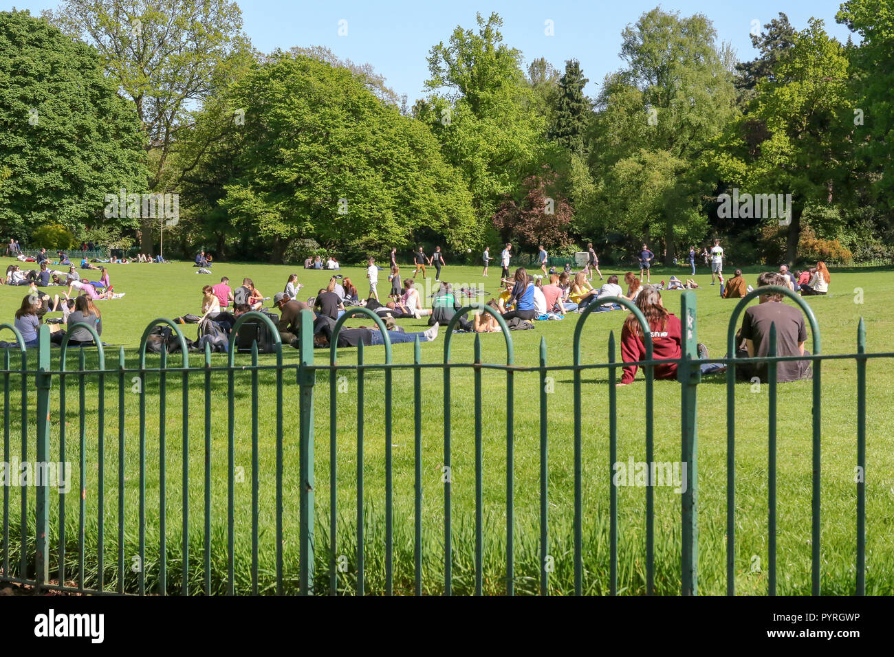 Belfast park hi-res stock photography and images - Alamy