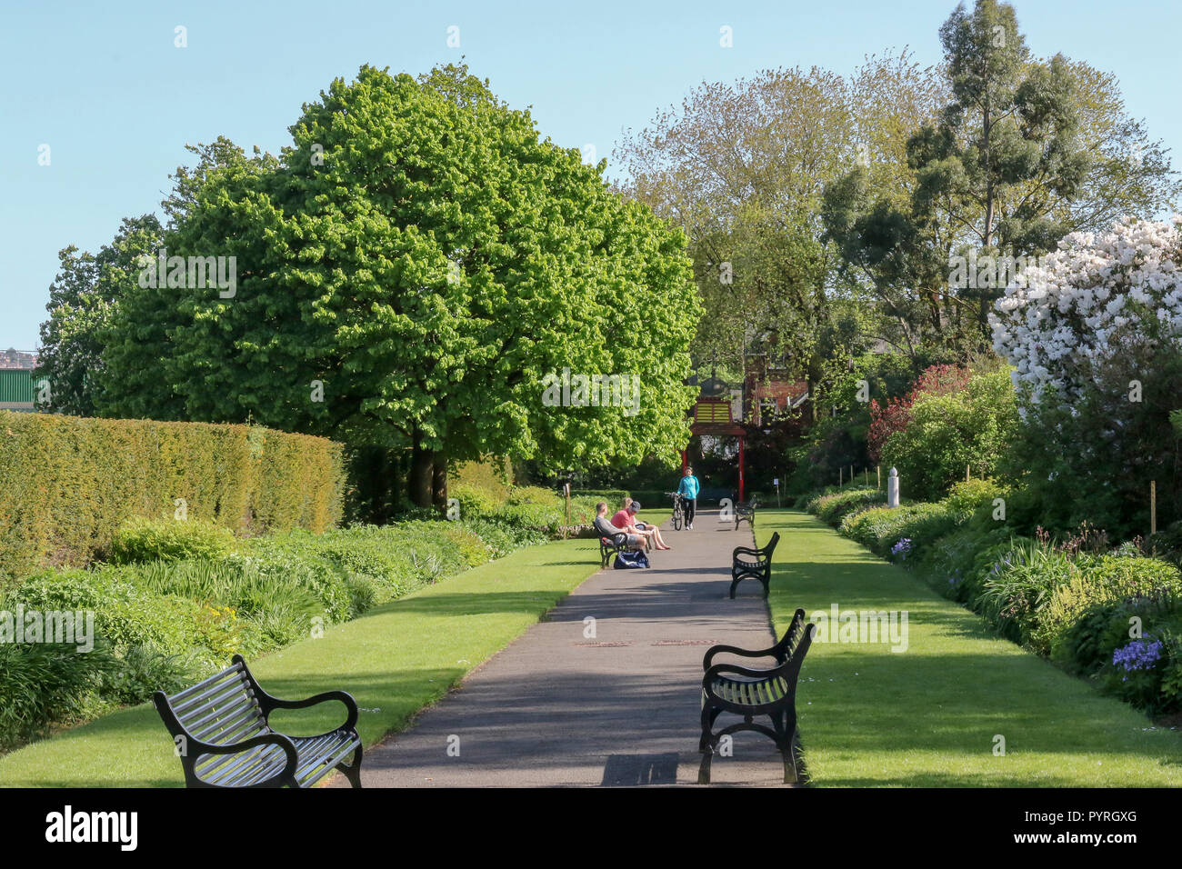 Botanic Gardens Belfast Stock Photo - Alamy