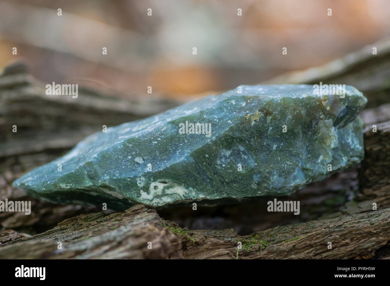 Natural raw Moss Agate specimen from Morocco on a tree bark in the ...