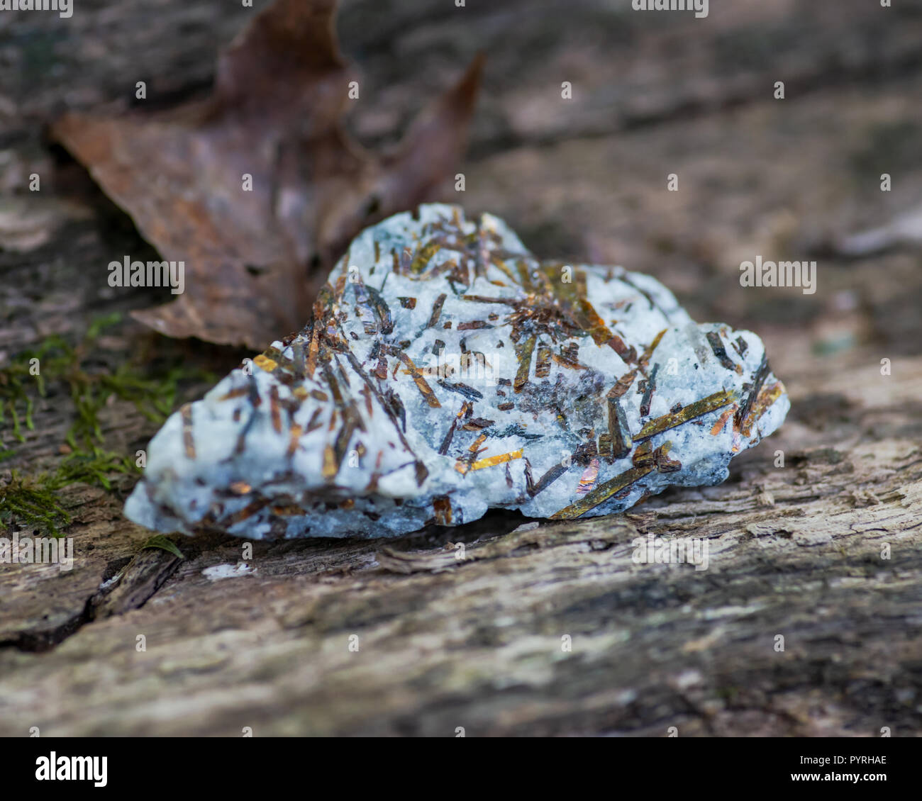 Rough Astrophyllite In Matrix Specimen From Russia On A Tree Bark In rough-astrophyllite-in-matrix-specimen-from-russia-on-a-tree-bark-in
