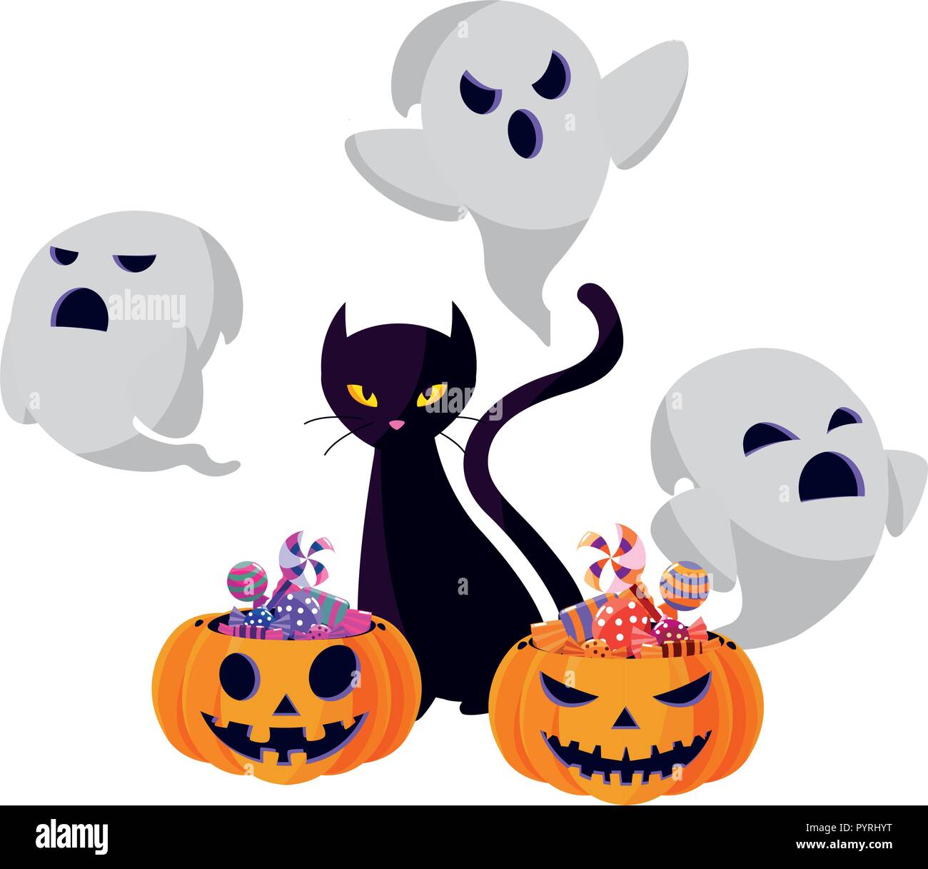halloween black cat with pumpkin character vector illustration design ...