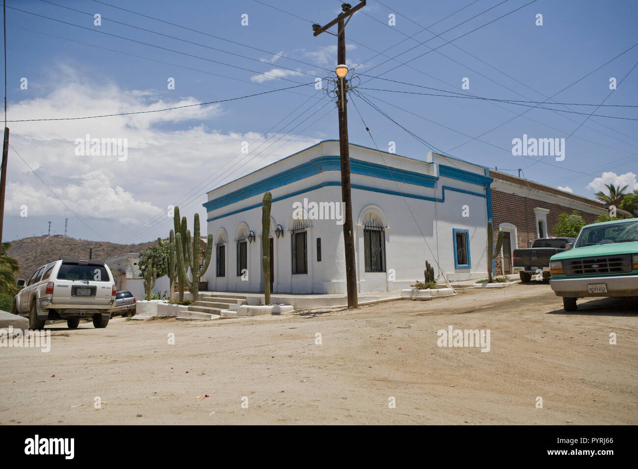 Traditional architecture and cactus in an urban street Stock Photo - Alamy