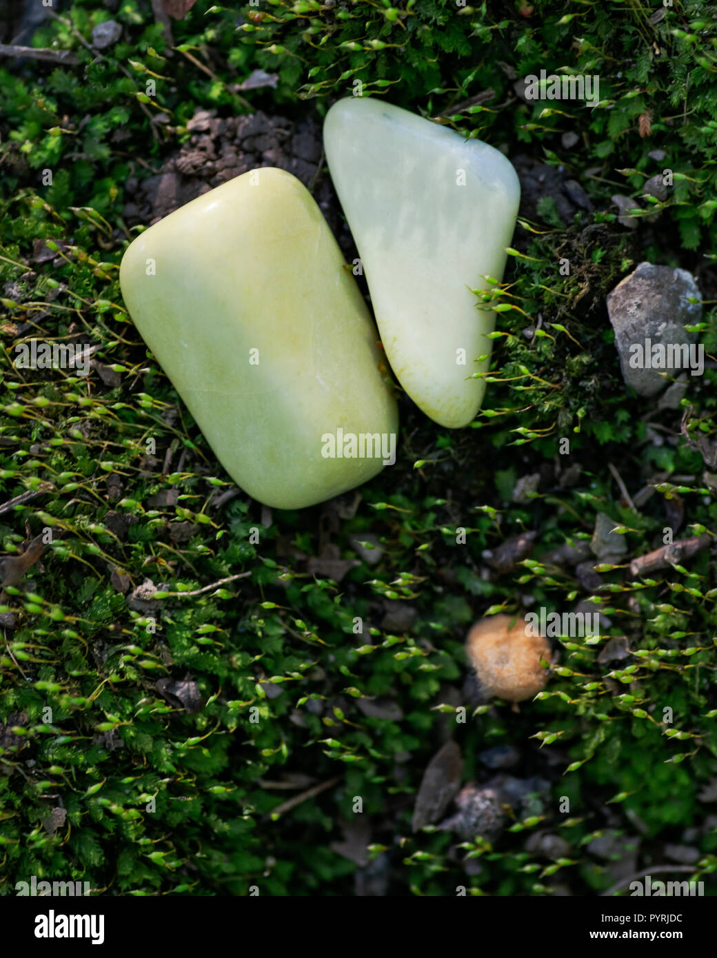 Tumbled yellowish Serpentine stone from Peru on green moss in the ...