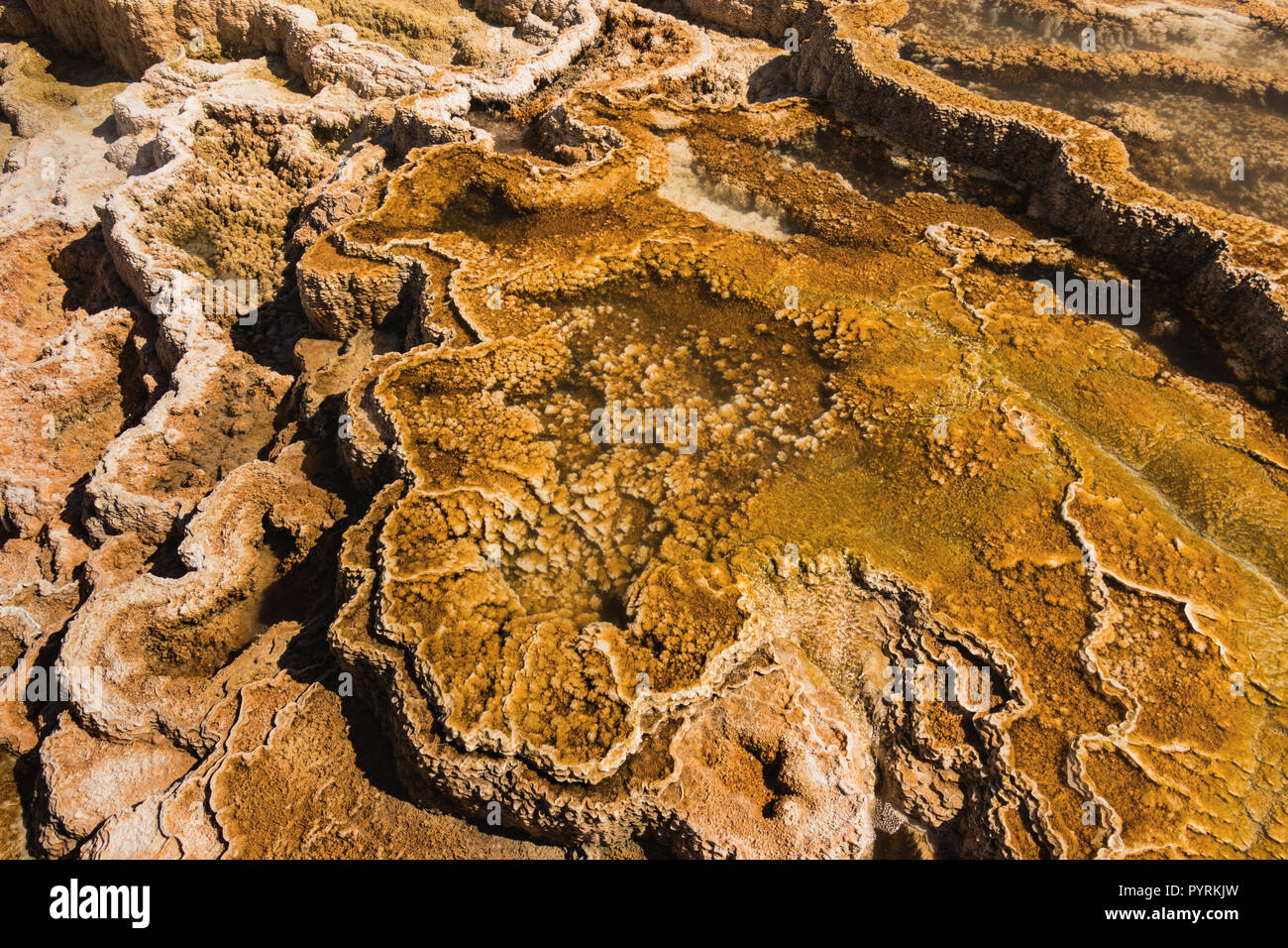 Geologic texture limestone at Mammoth Hot spring - Yellowstone National ...