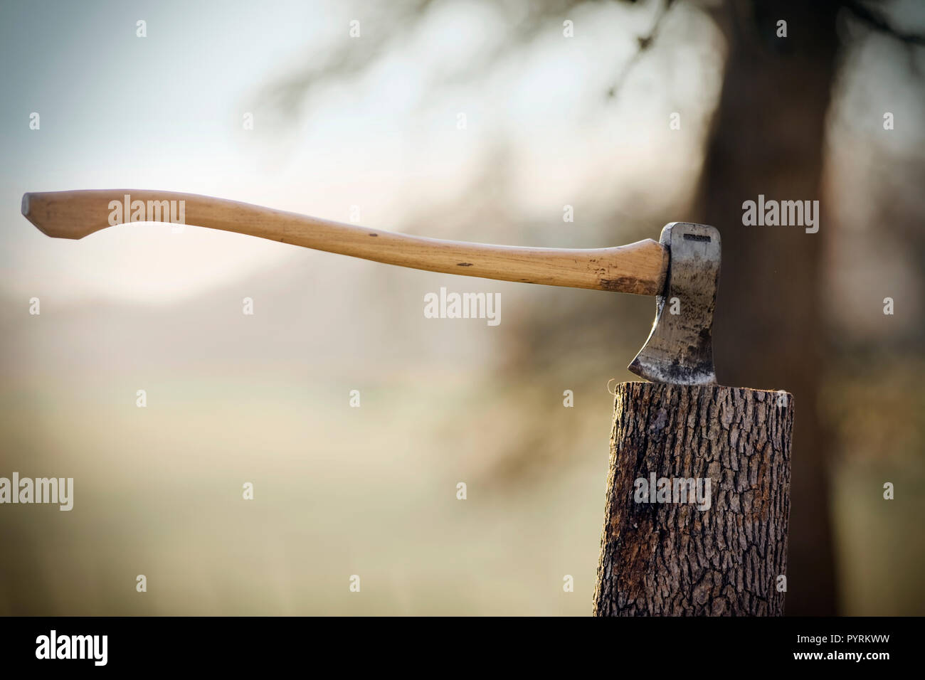 Axe in a piece of wood Stock Photo - Alamy