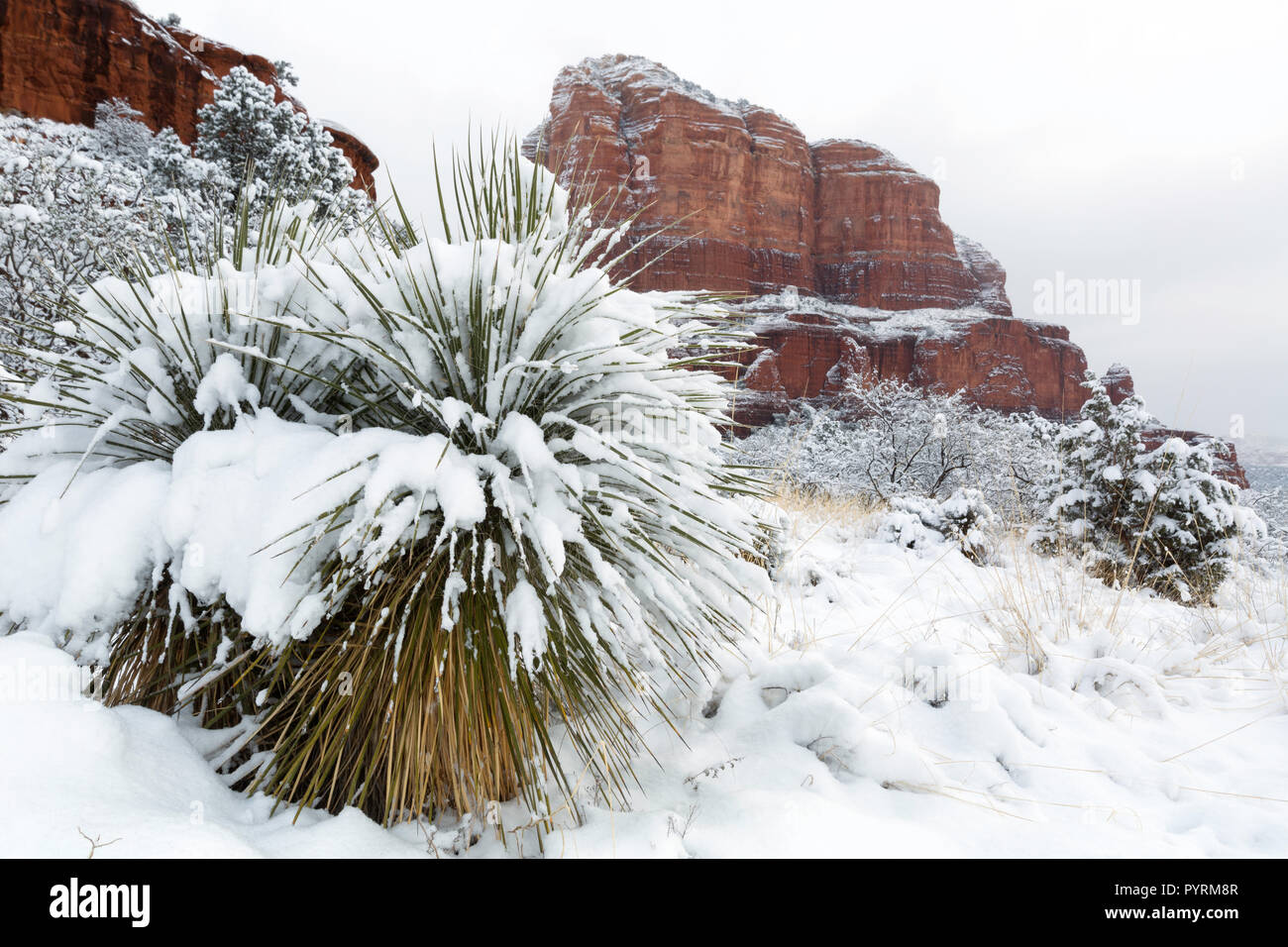 Courthouse Butte with newly fallen snow, Sedona, Arizona Stock Photo ...