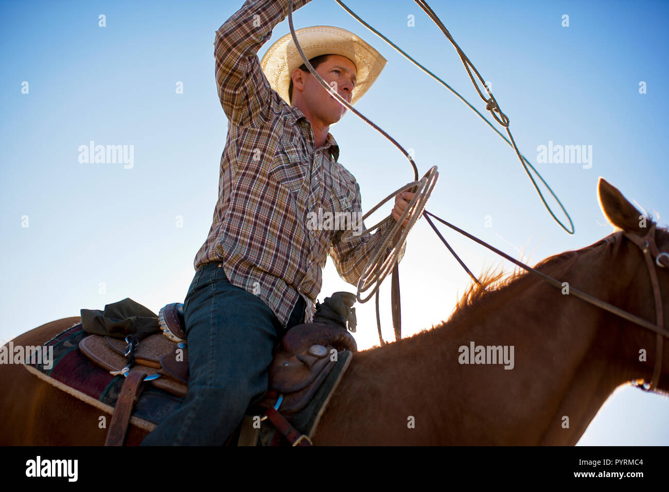 Cowboys horses lassos ranch hi-res stock photography and images - Alamy