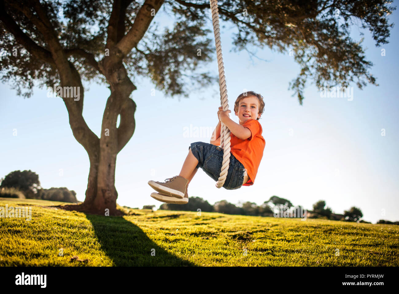 Happy young boy playing on a tree swing Stock Photo - Alamy