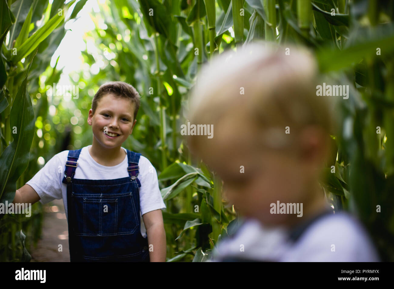 Two brothers playing in a corn field Stock Photo - Alamy