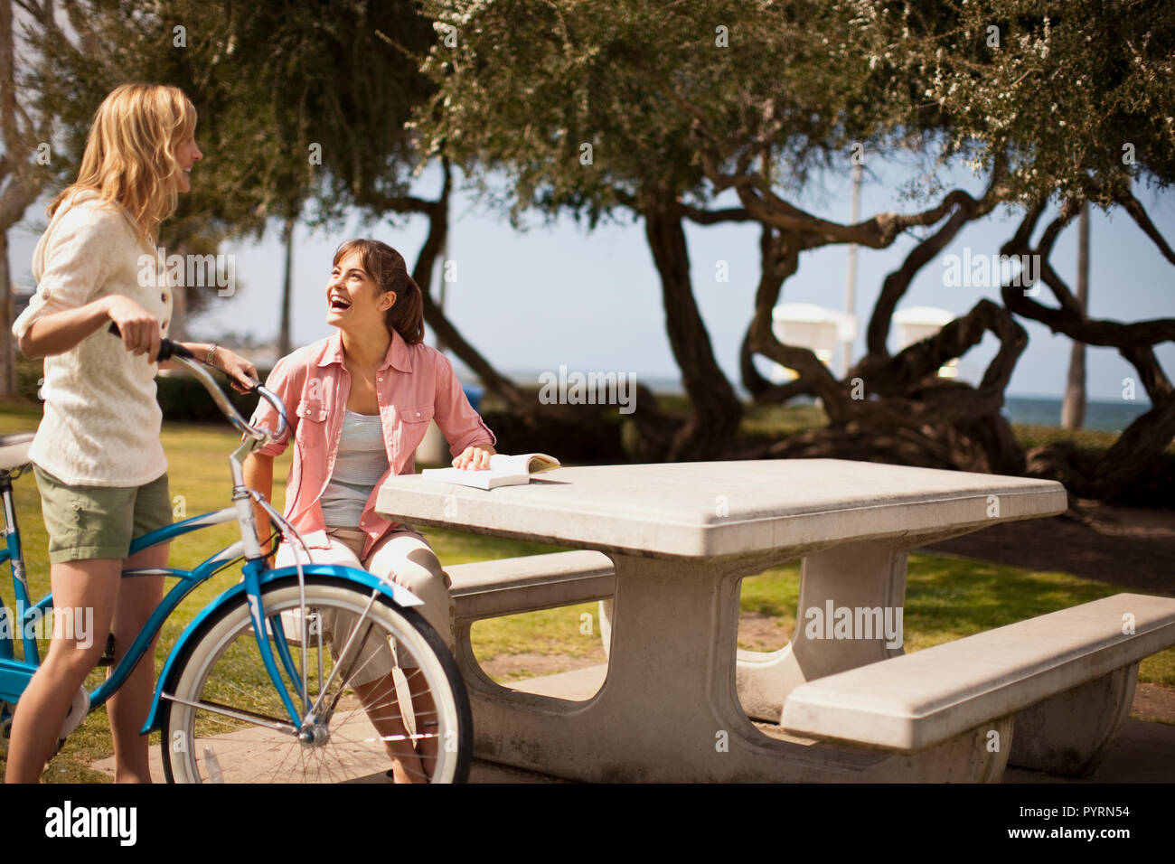 Bump into something hi-res stock photography and images - Alamy