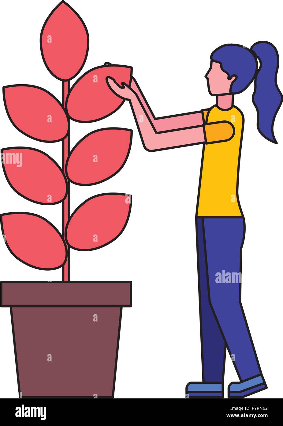 Young fern pot Stock Vector Images - Alamy