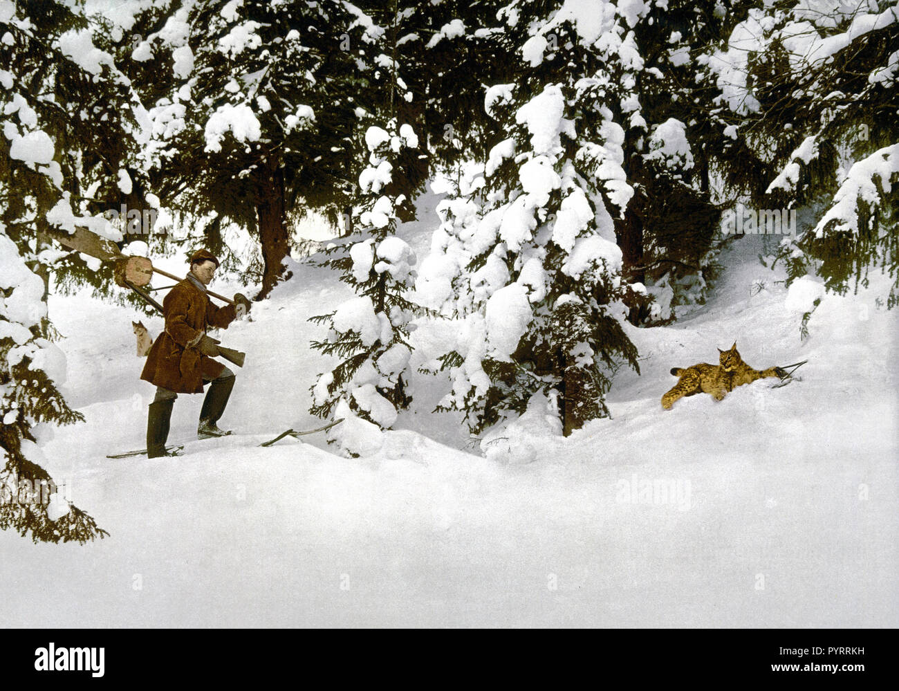 19th century russian trappers hi-res stock photography and images - Alamy