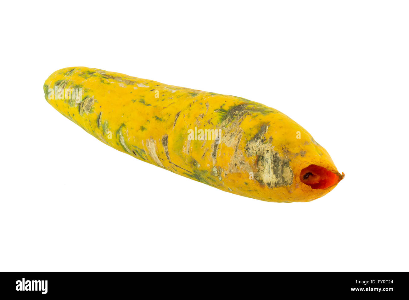 Rotten papaya hi-res stock photography and images - Alamy