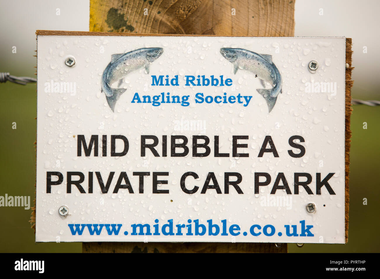 An angling club sign in Hurst Green, on the River Ribble, Lancashire ...