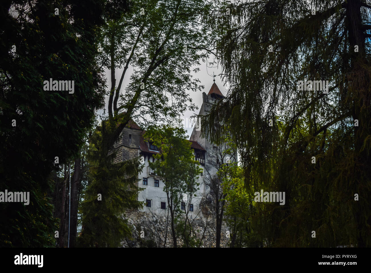 Bran City High Resolution Stock Photography and Images - Alamy