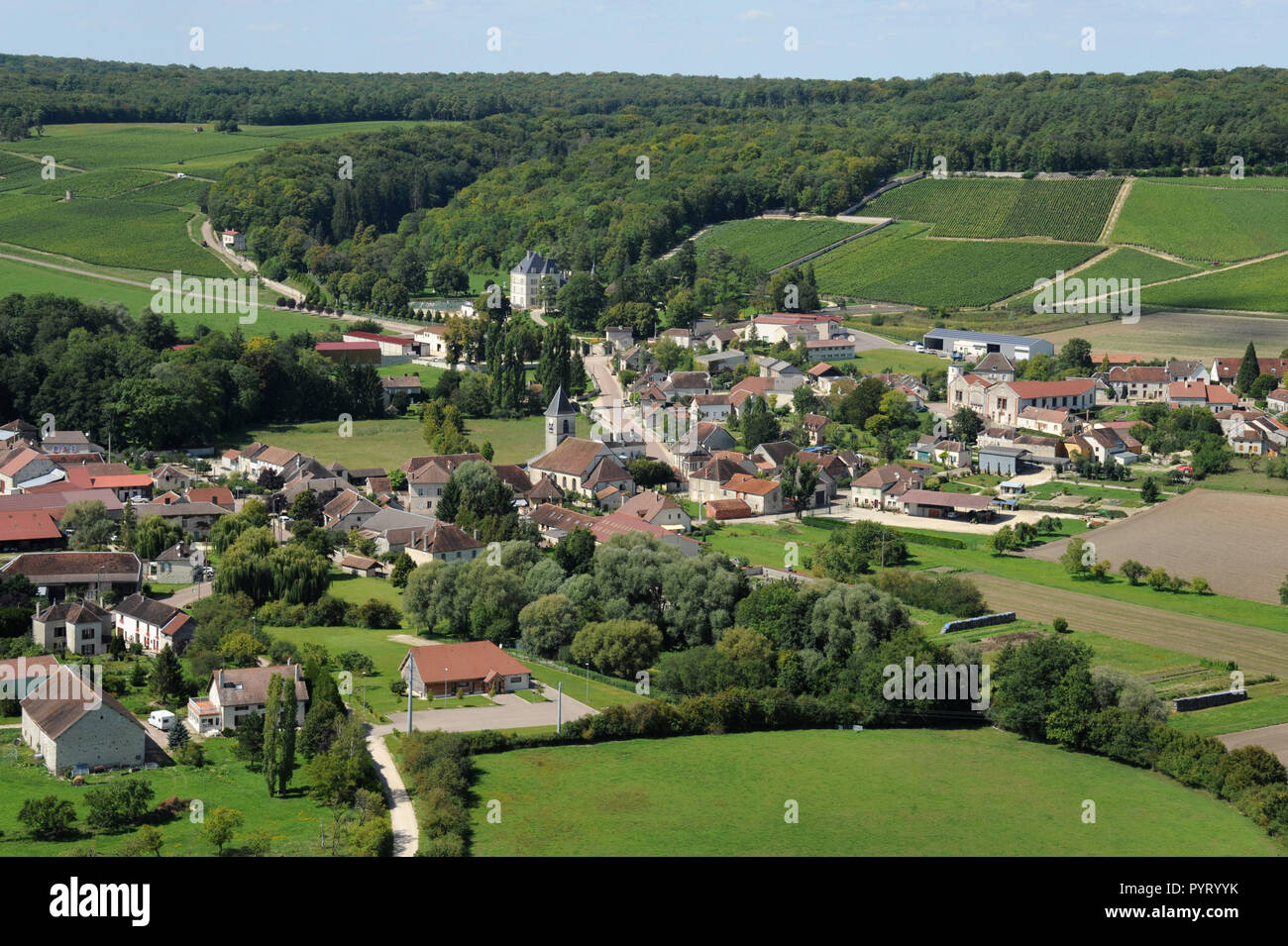 Bligny (north-eastern France). Rural landscape and vineyards ...