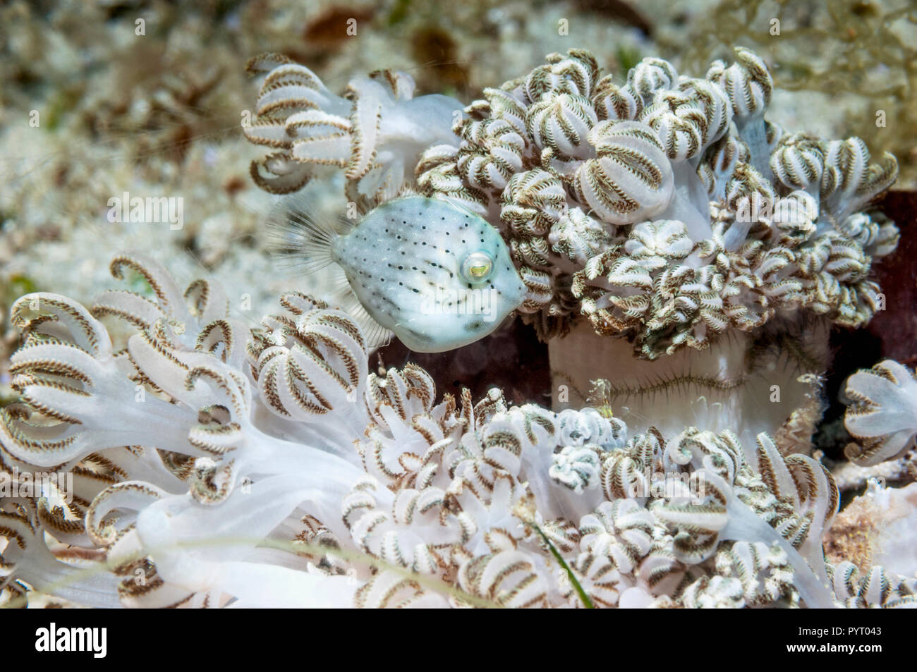 Time gal hi-res stock photography and images - Alamy