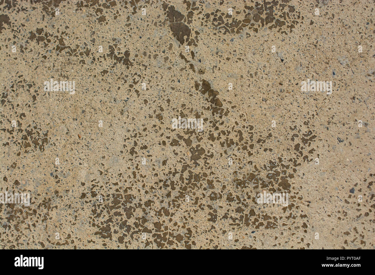 Wall surface as a simple grunge background texture pattern Stock Photo ...