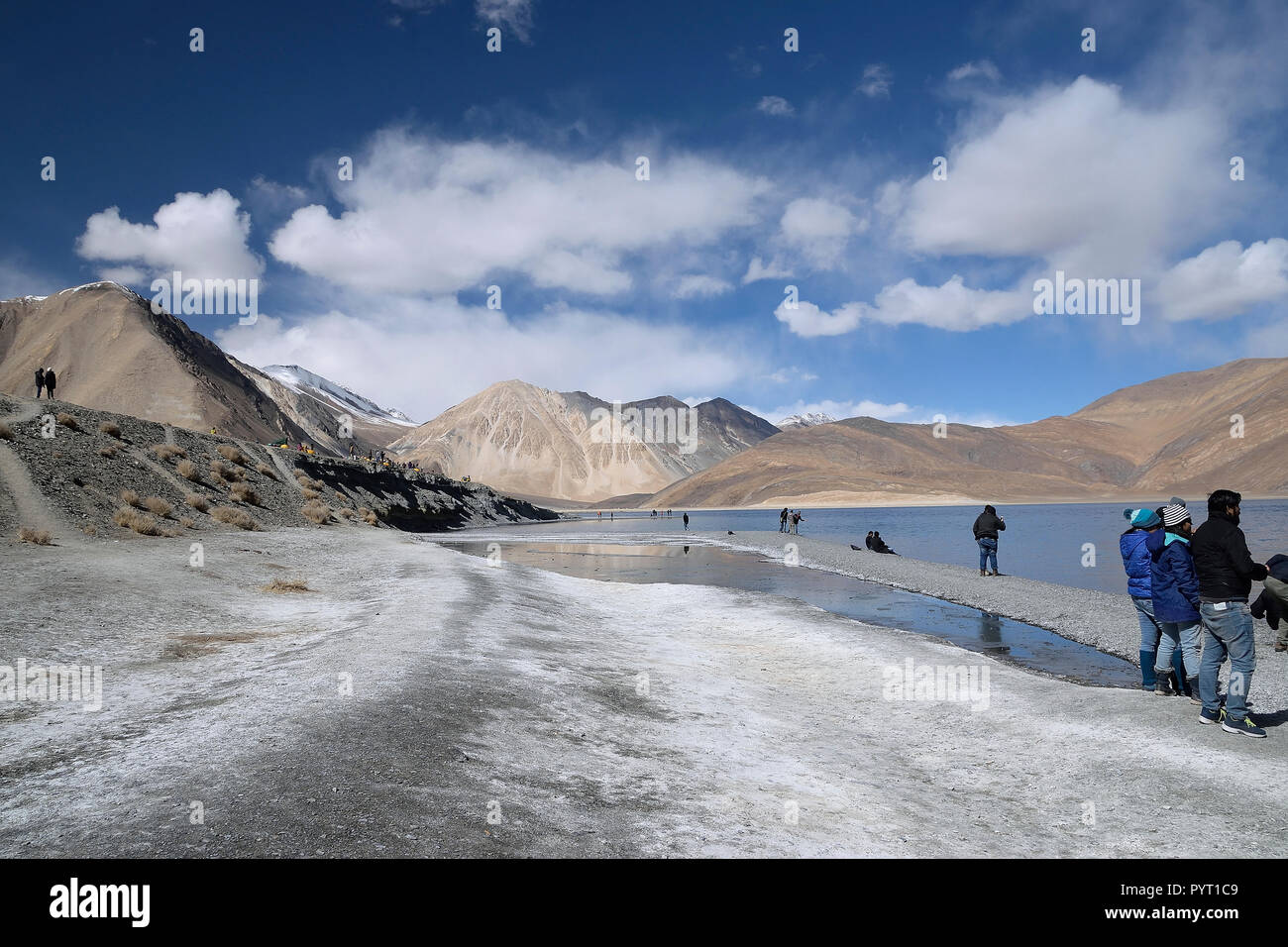 Green ladakh hi-res stock photography and images - Alamy