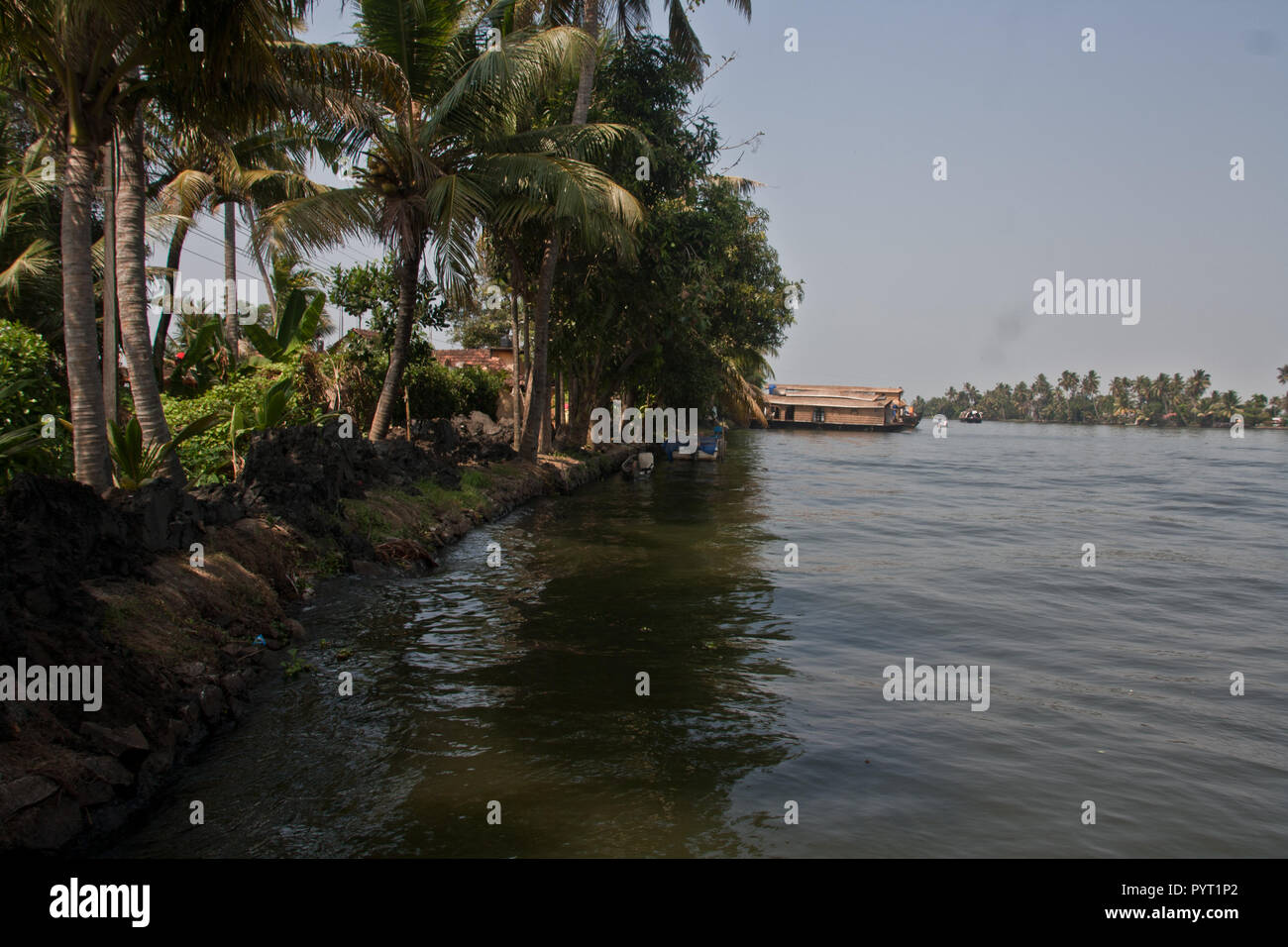 The Kerala backwaters landscape showcases a mesmerizing tapestry of ...