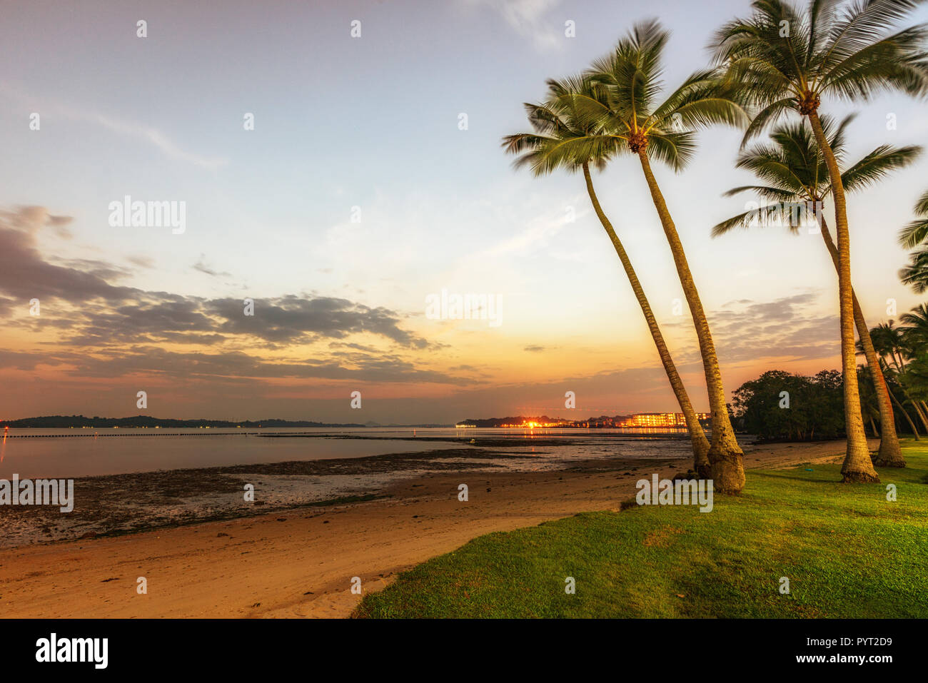 Beautiful tropical beach with coconut trees during sunrise Stock Photo ...