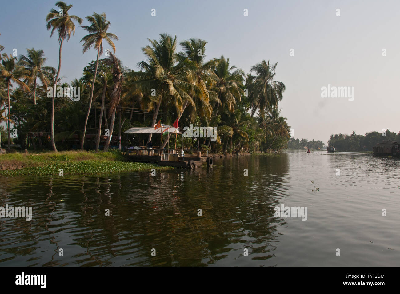 The Kerala backwaters landscape showcases a mesmerizing tapestry of ...