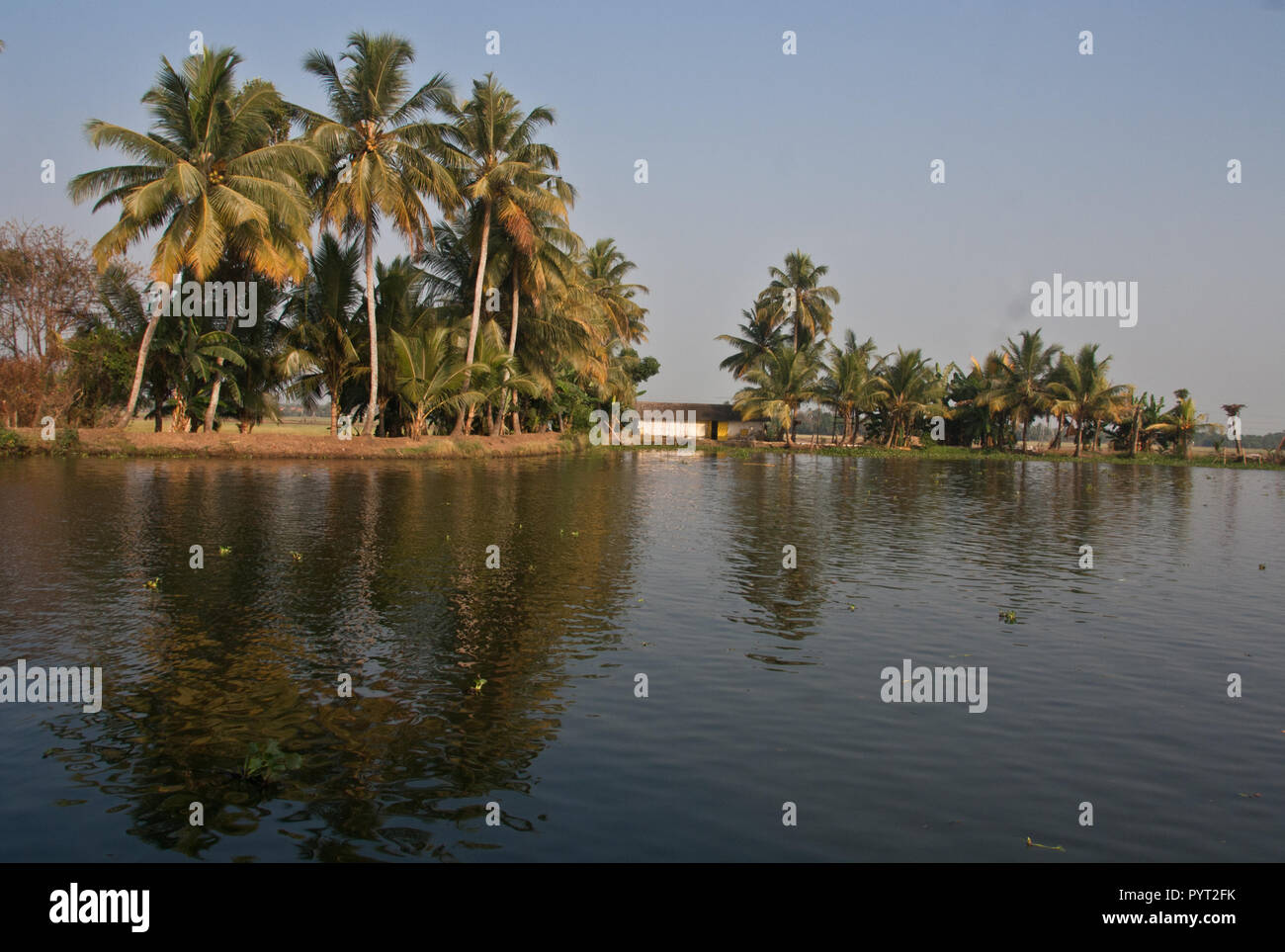 The Kerala backwaters landscape showcases a mesmerizing tapestry of ...