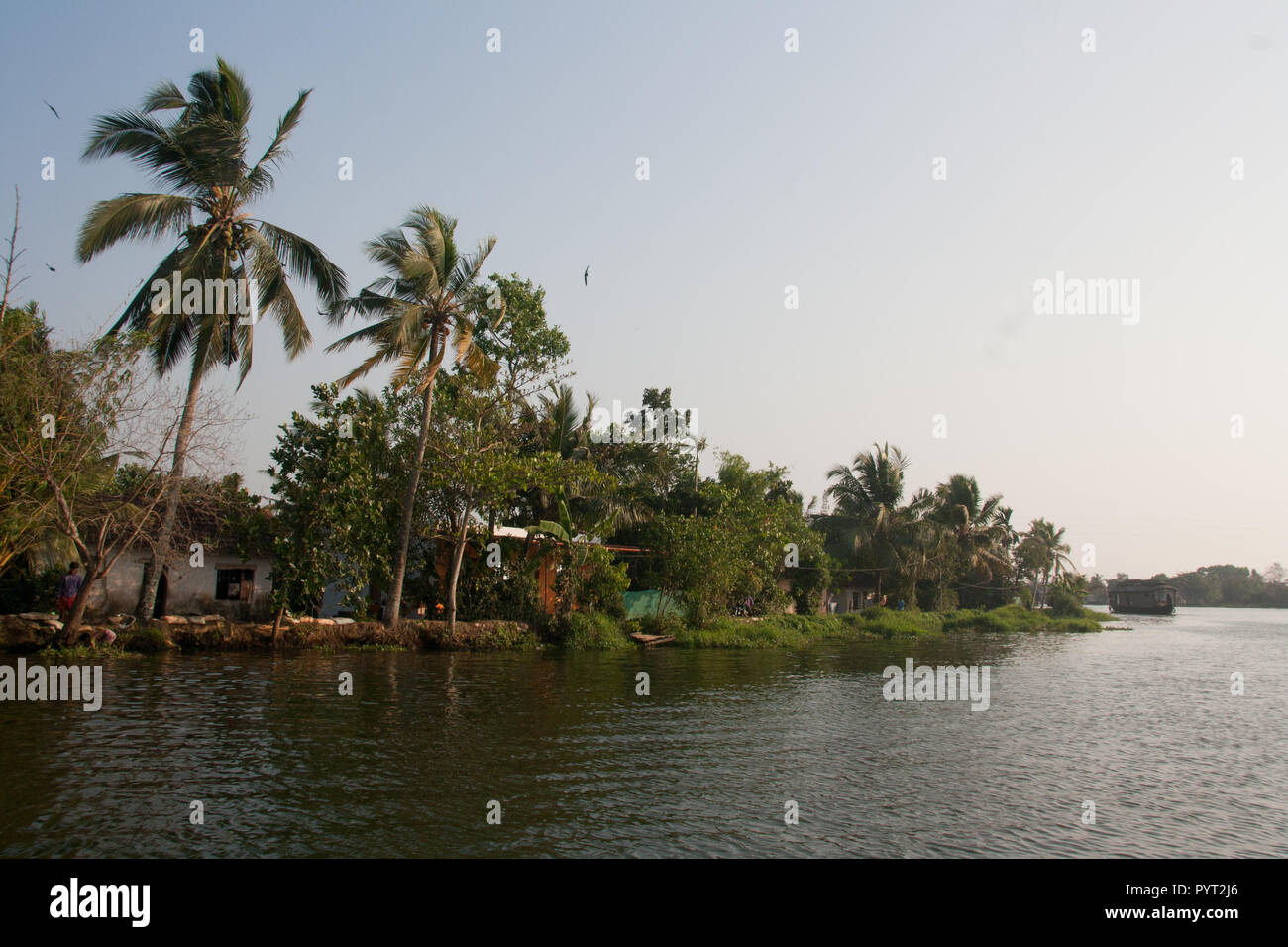 The Kerala backwaters landscape showcases a mesmerizing tapestry of ...