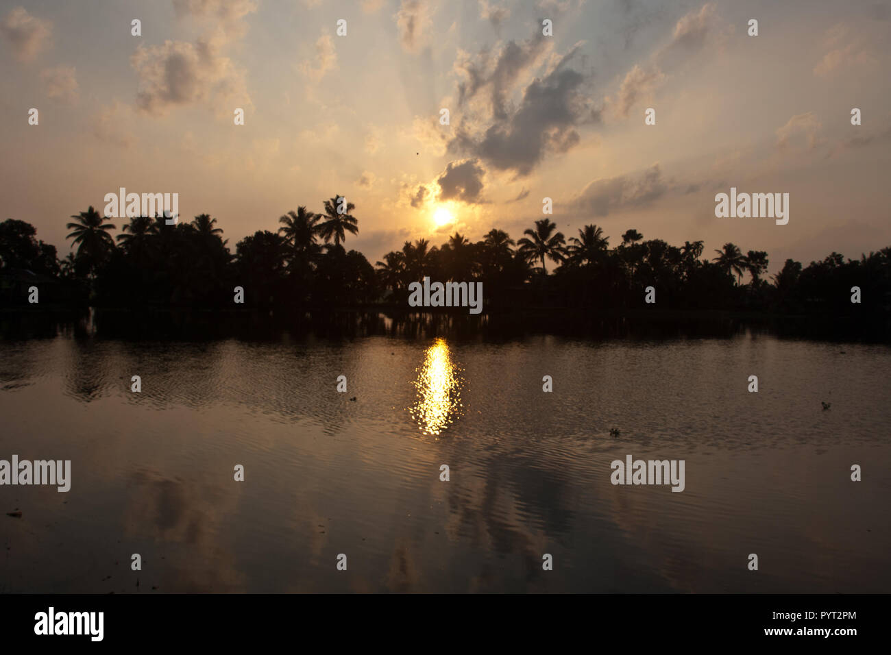 The Kerala backwaters landscape showcases a mesmerizing tapestry of ...