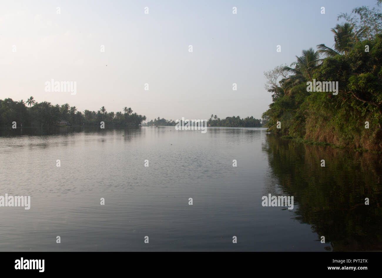 The Kerala backwaters landscape showcases a mesmerizing tapestry of ...