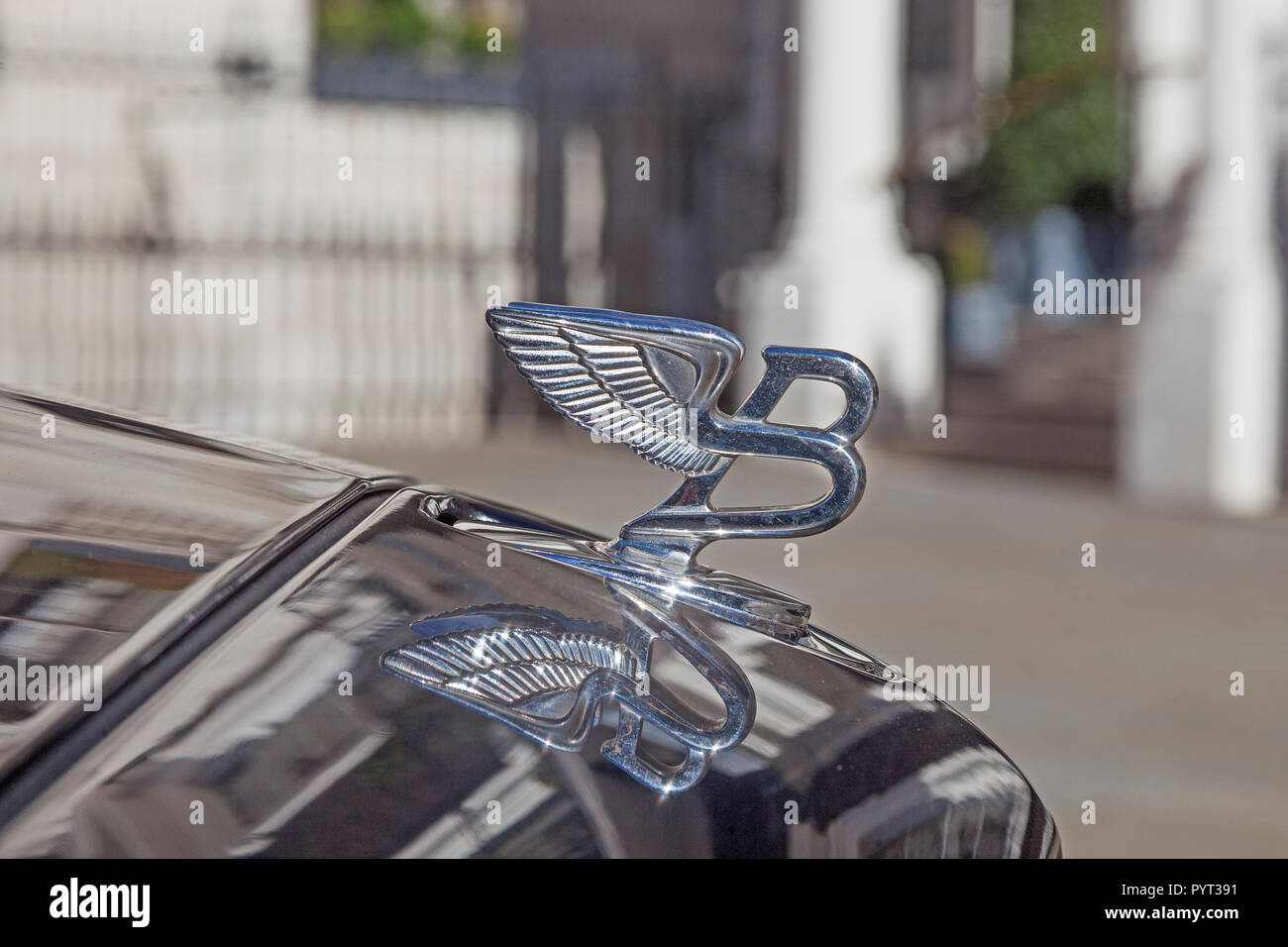 Winged bonnet hi-res stock photography and images - Alamy